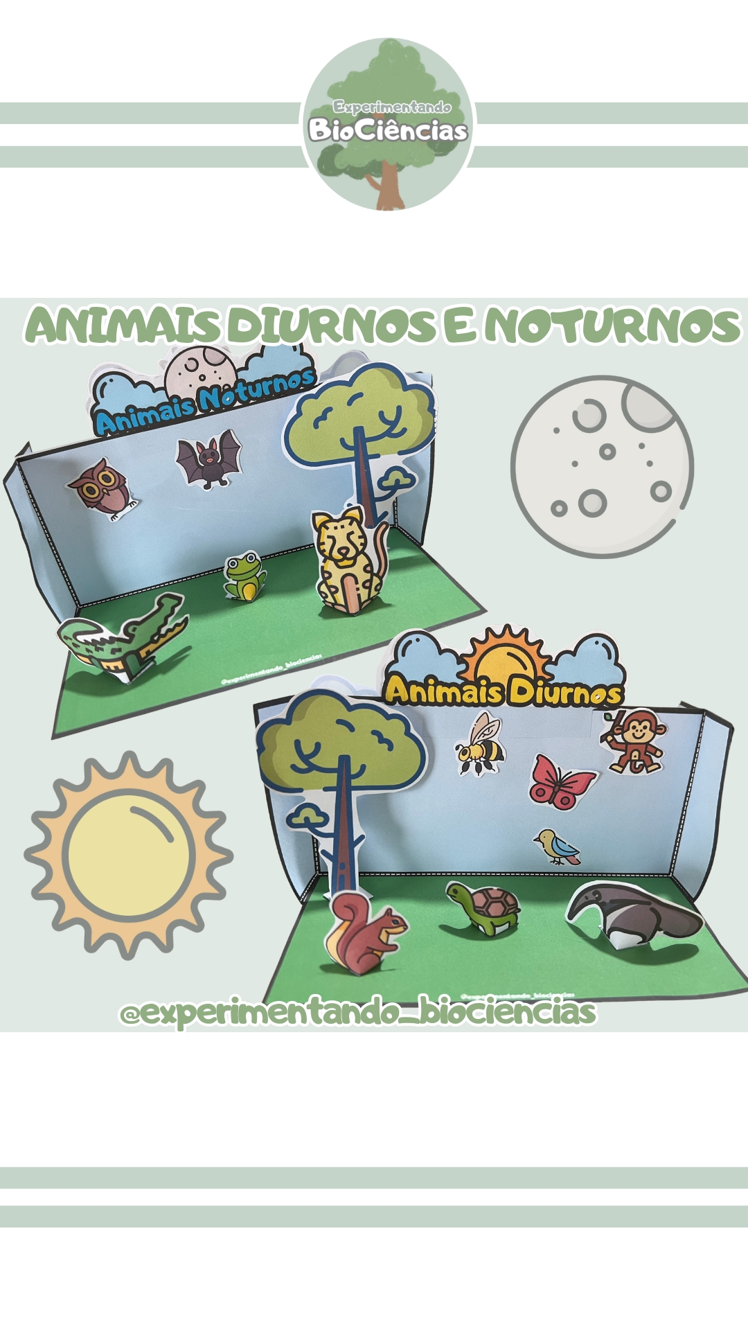 40-Animais diurnos e noturnos 3D – Experimentando BioCiências