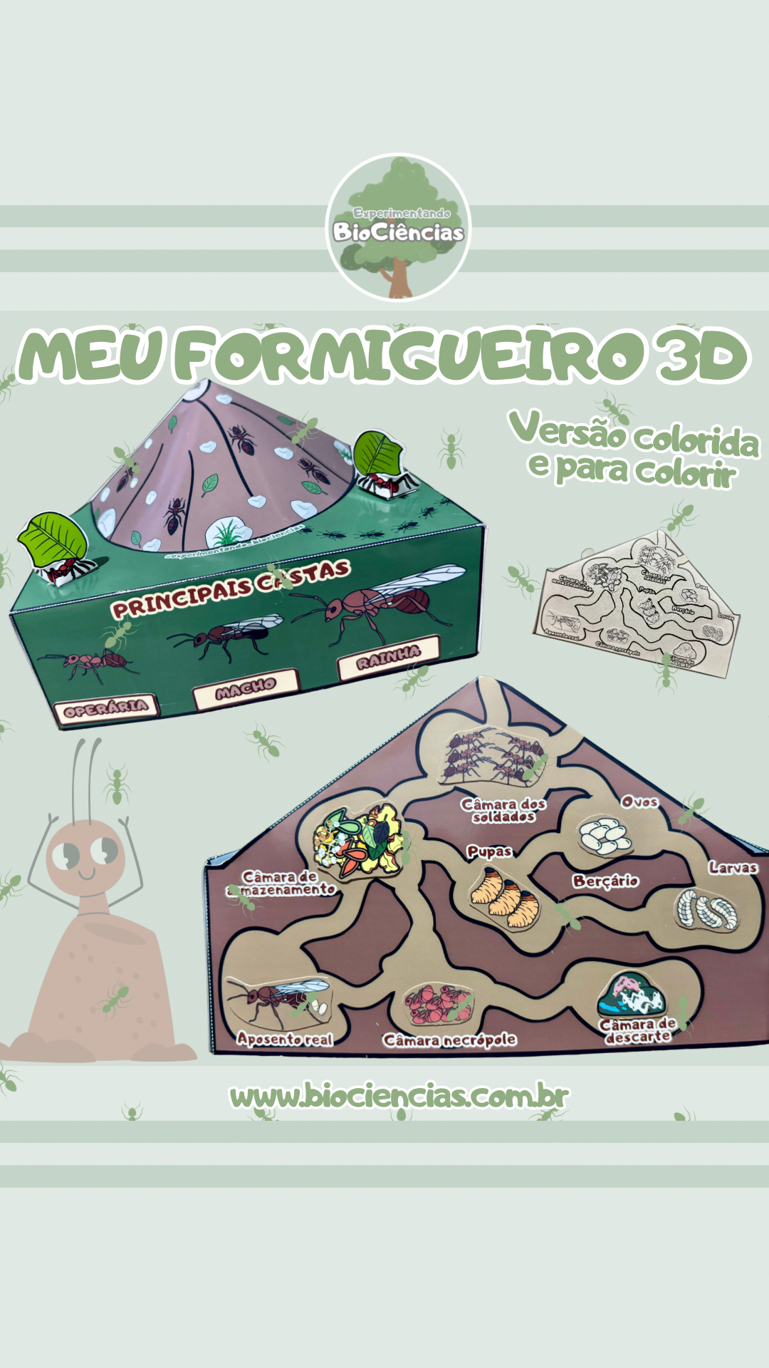 203-Meu formigueiro 3D – Experimentando BioCiências